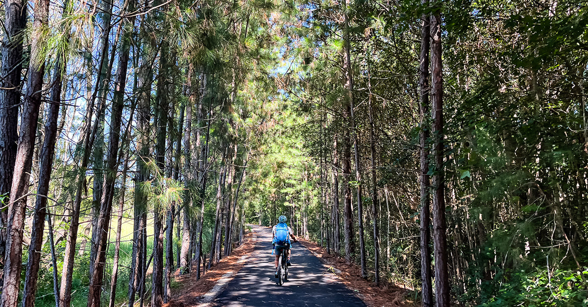 FOCUS 2026 JAM2 – Beyond Byron E Bikes