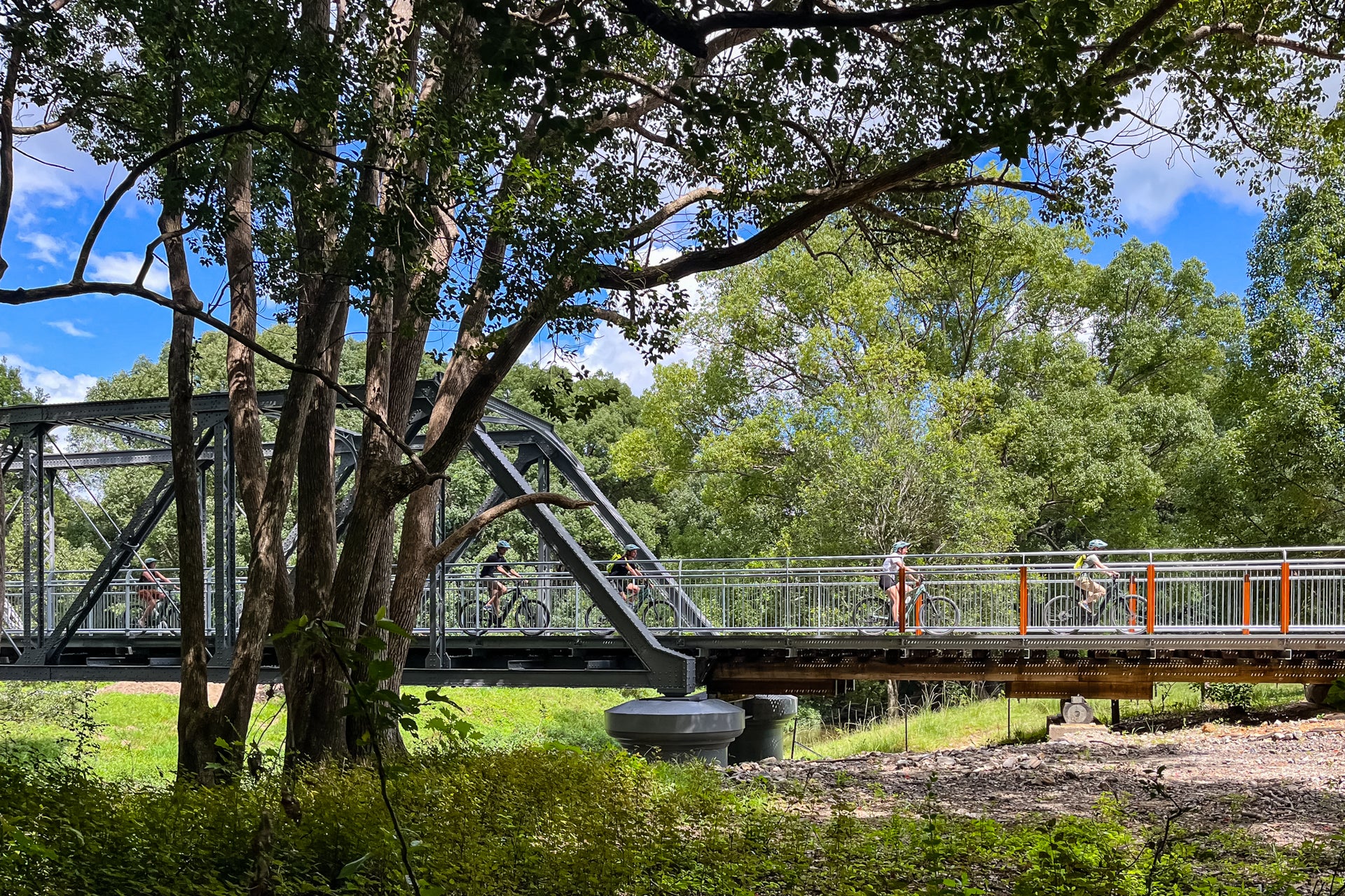 Northern Rivers Rail Trail E Bike Hire – Beyond Byron E Bikes